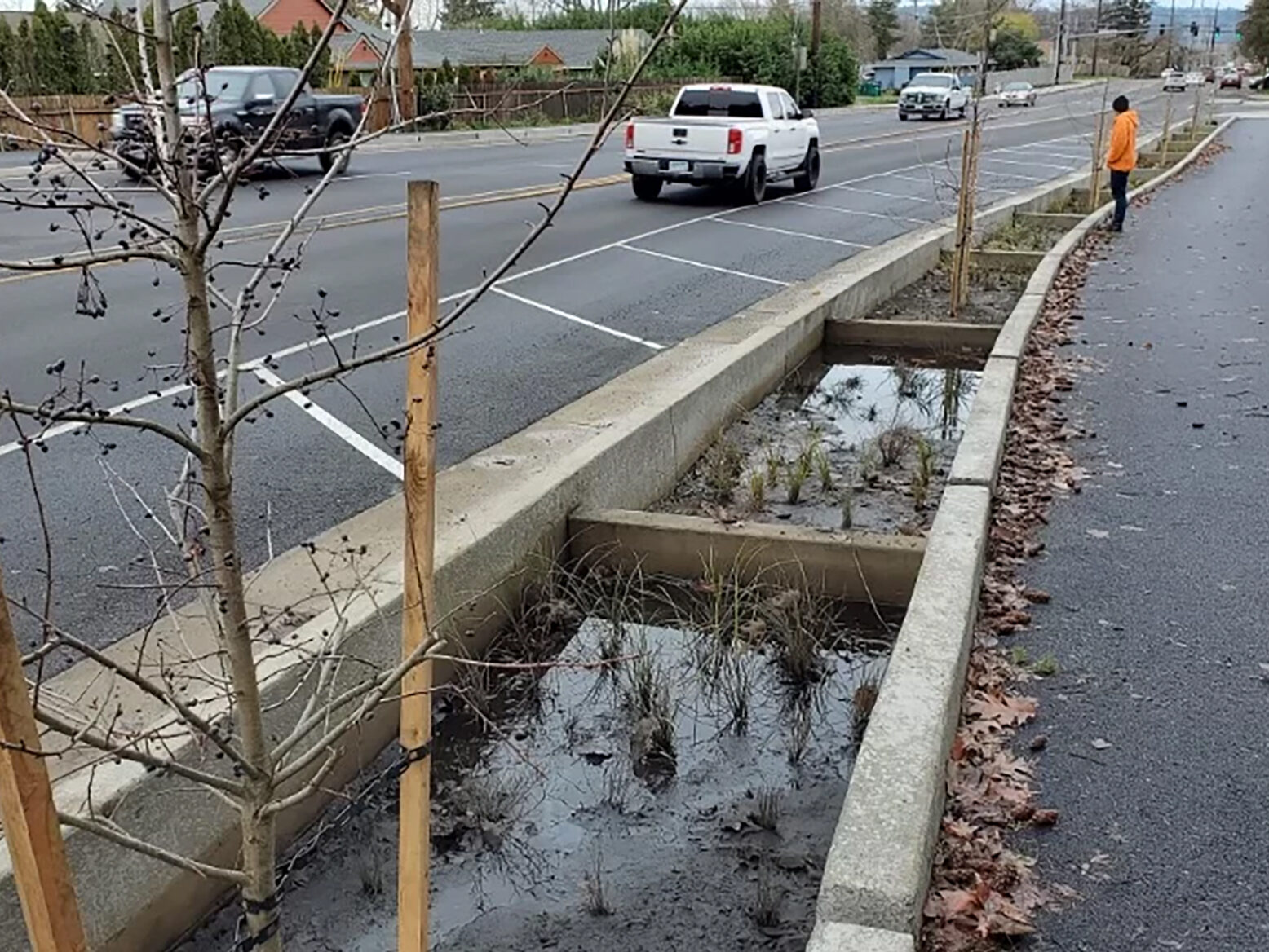 What Are Street Planters, Anyway? – Follow the Water