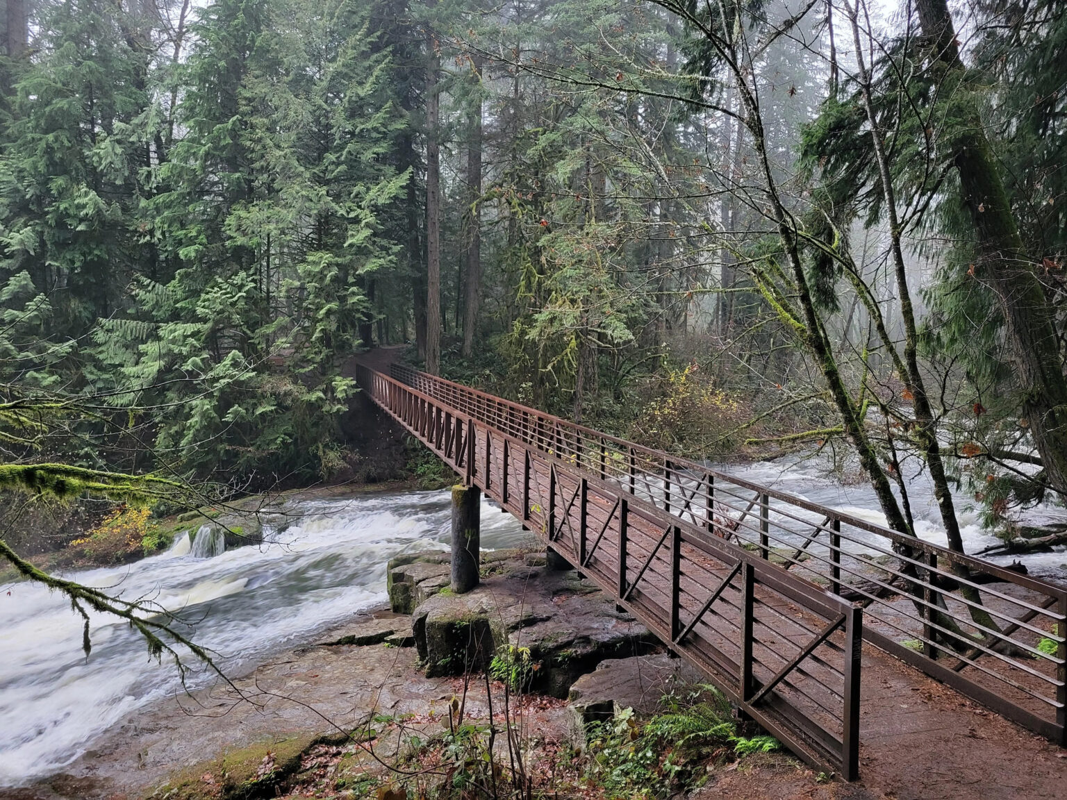 Lacamas Regional Park – Follow the Water