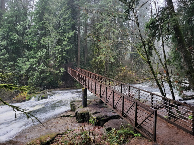 Lacamas Regional Park – Follow the Water